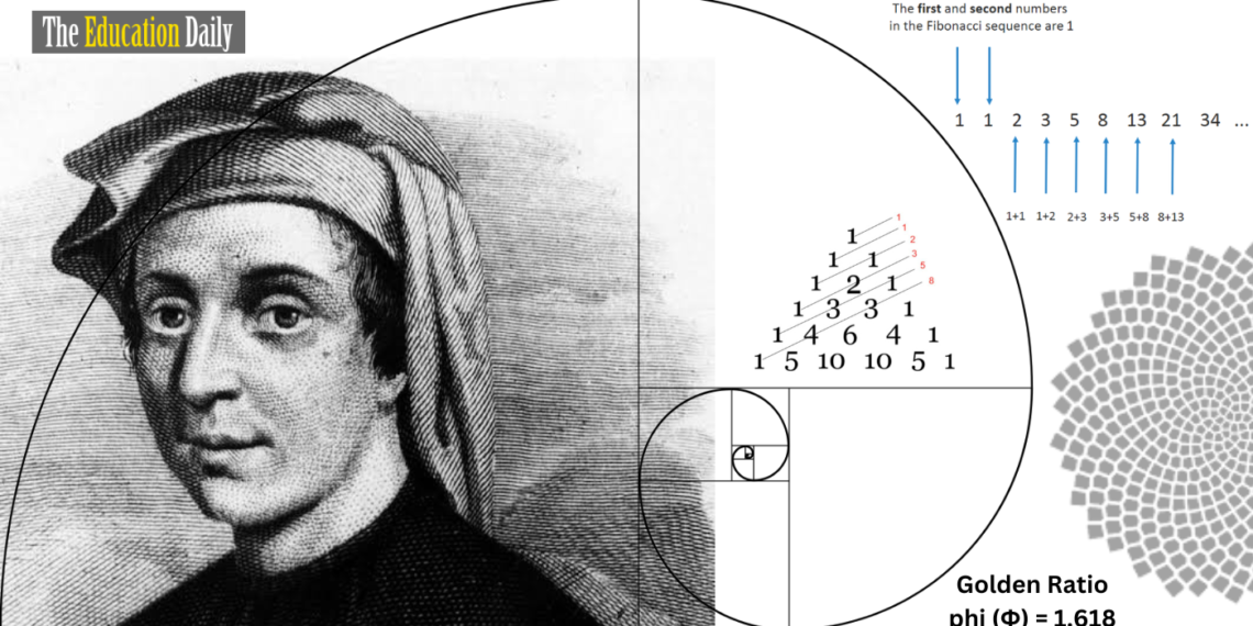Fibonacci Day: Unveiling The Mathematical Beauty Of The Golden Ratio — The Education Daily